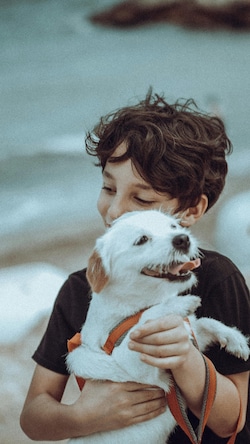 Do animals have a sense of humour? Here’s what science suggests