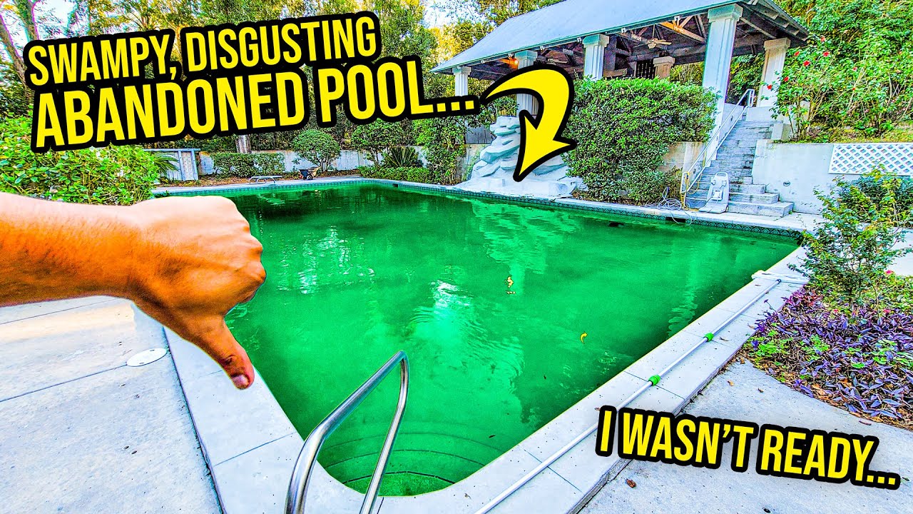 My Dream Pool Turned Into a Swamp… Can I Fix It?