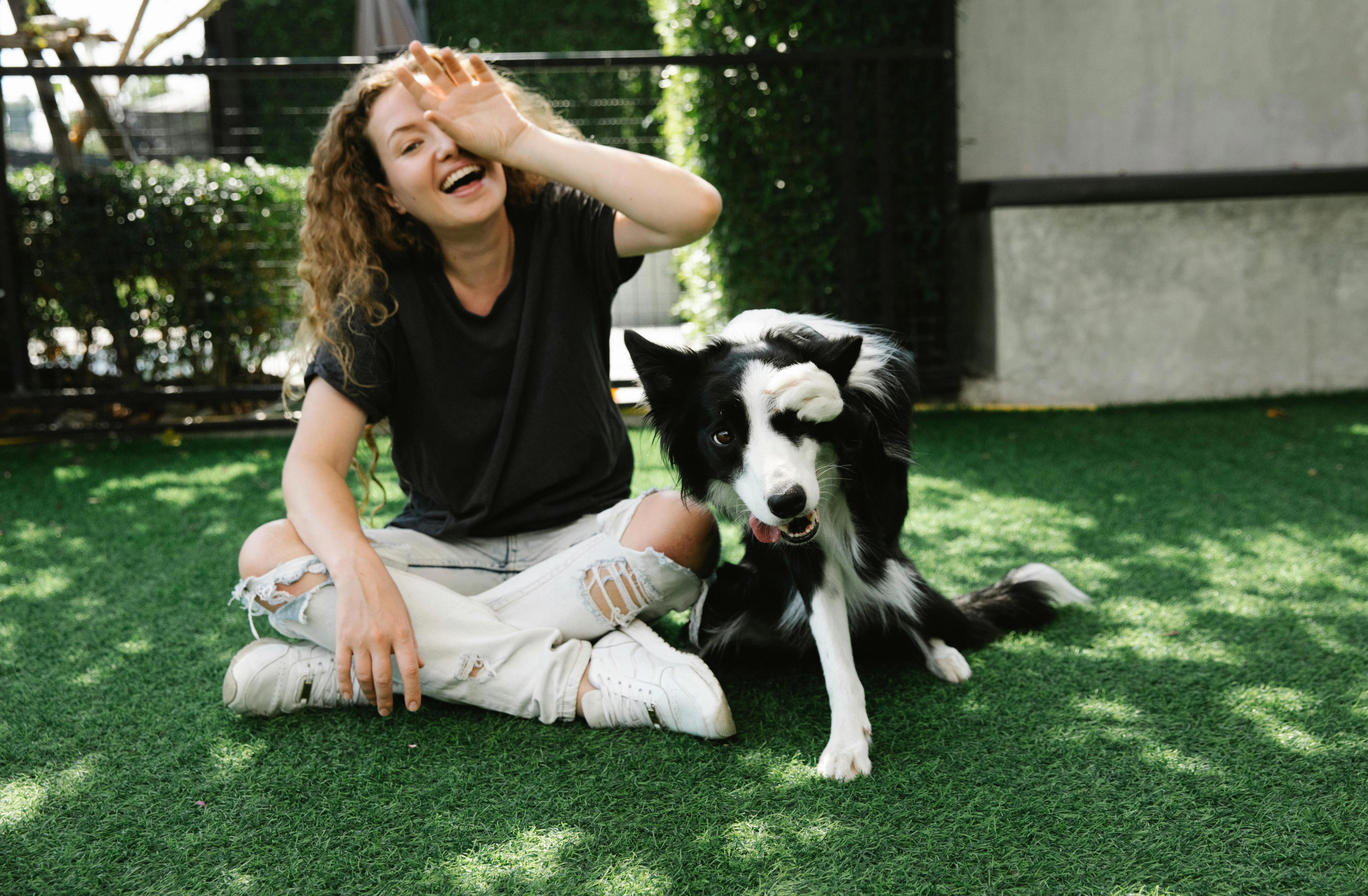 Top 5 most loyal dog breeds