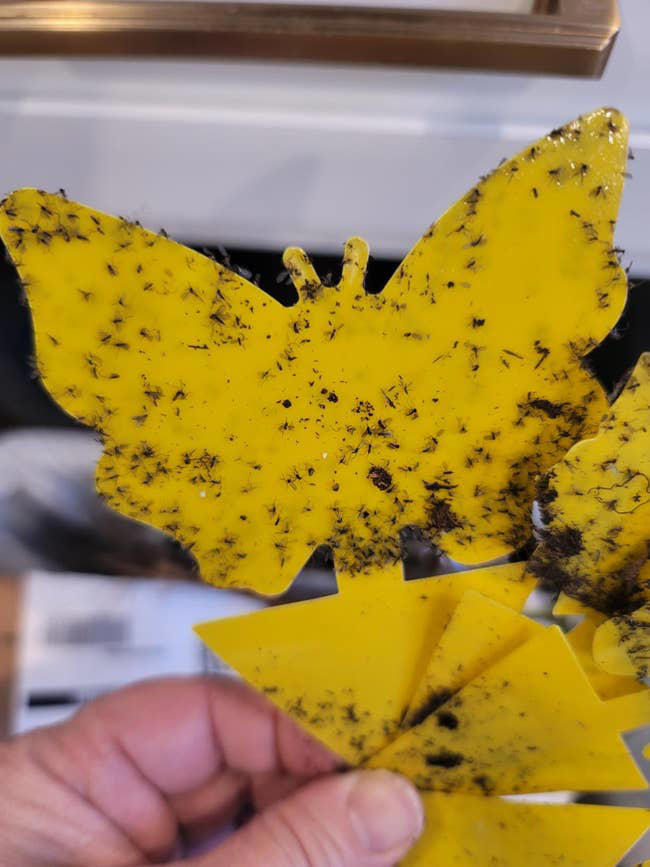 26 products that helped reviewers transform their gardening skills