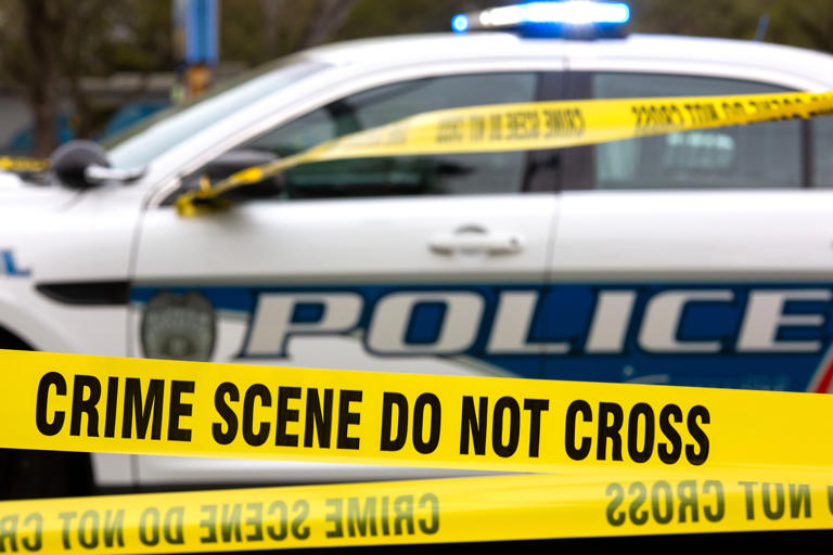 TPD: Multiple people shot during large gathering in Tallahassee parking ...