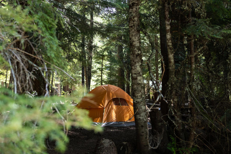 This Colorado campground was named among the best in US. Here's why it ...