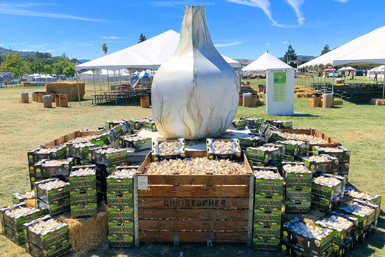 The Largest Garlic Festival in the World Is Back—and Yes, There's Still ...