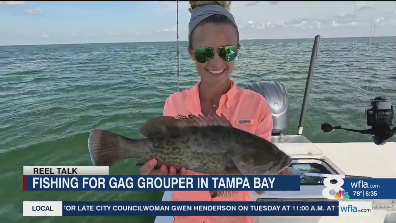Reel Talk: Fishing for Gag grouper