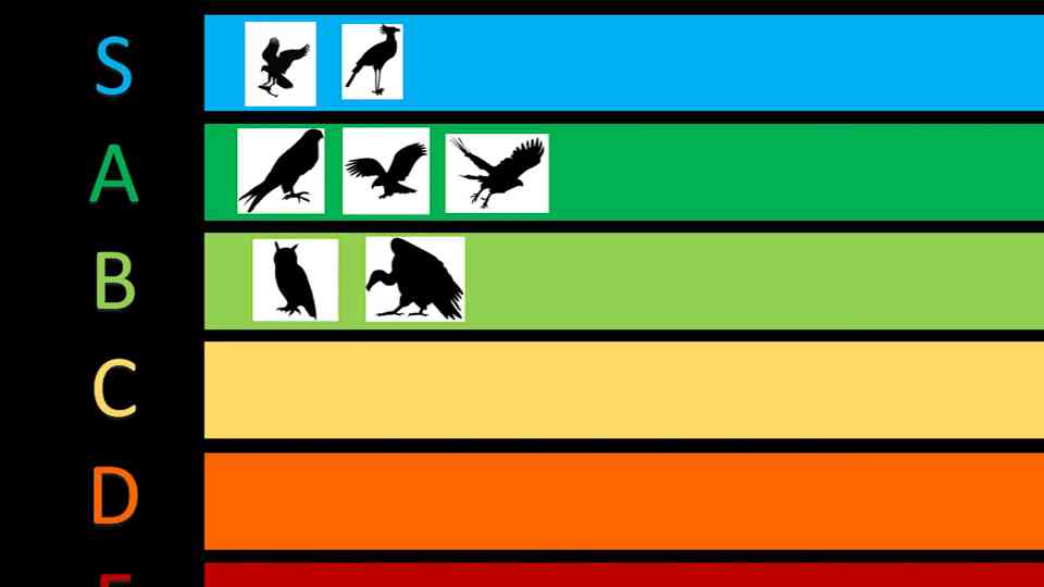 The Rodent Tier List