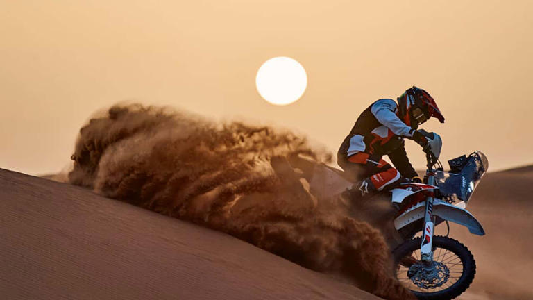 What was the final role of The Walking Dead's Scott Wilson, who ...