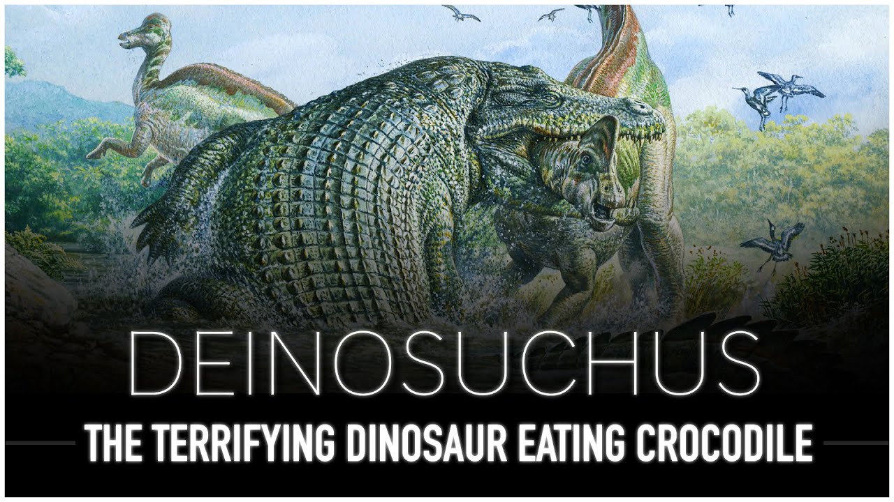 Deinosuchus; The Terrifying Extinct Dinosaur Eating Crocodile