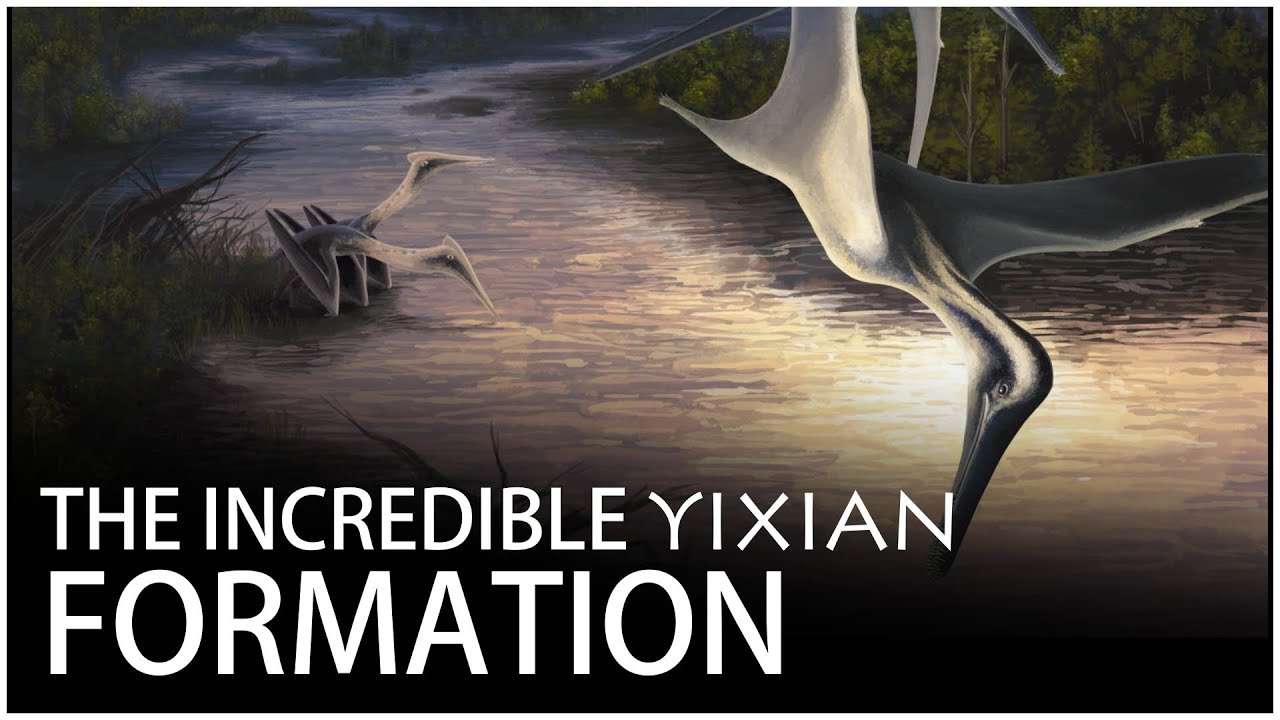 Dinosaurs From The Yixian Formation
