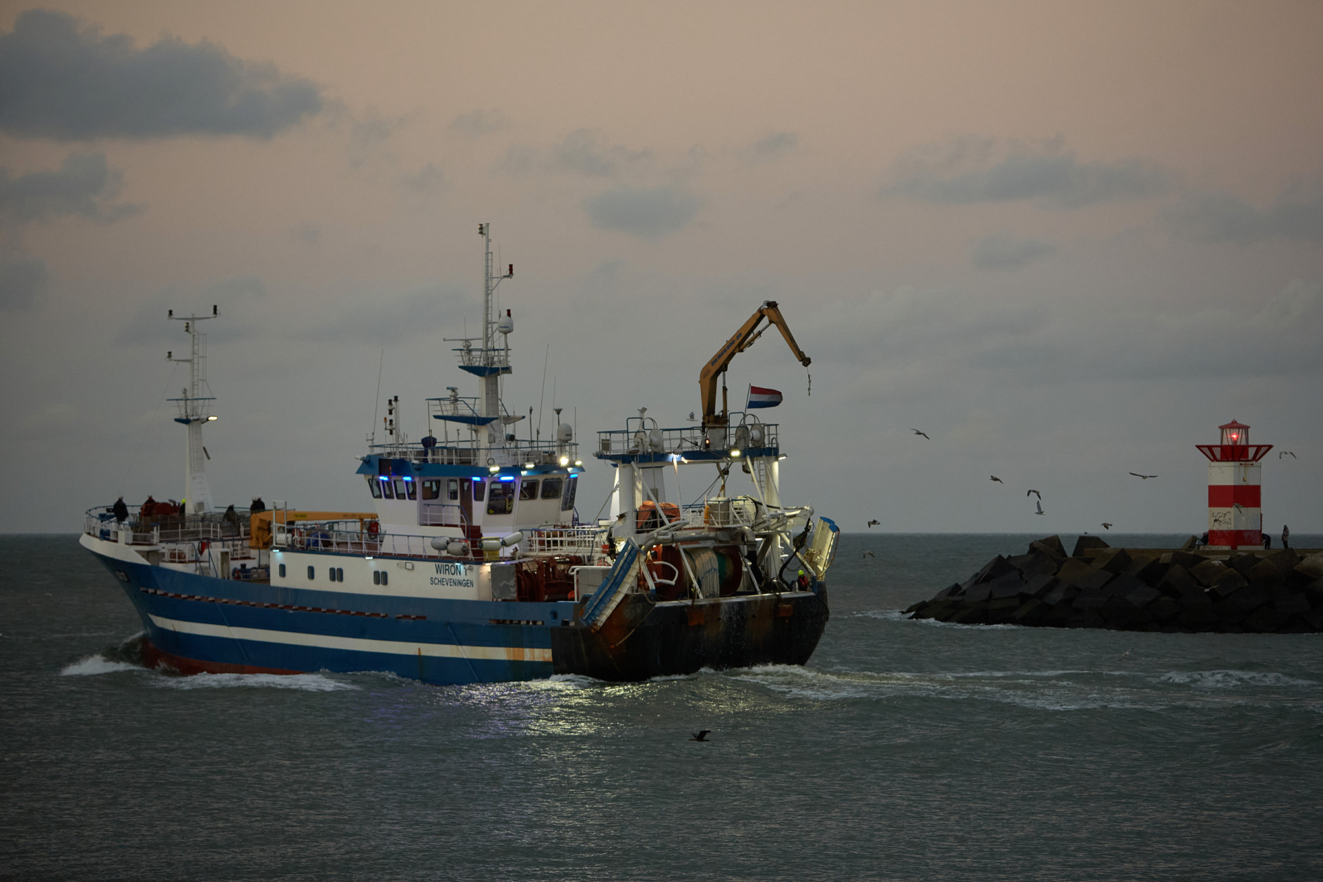 Deadly fishing methods that destroy the environment