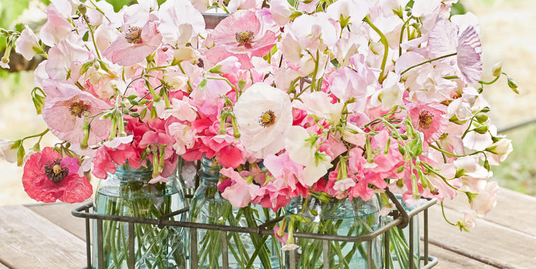 5 Essential Vases That Cover All Your DIY Flower-Arranging Needs