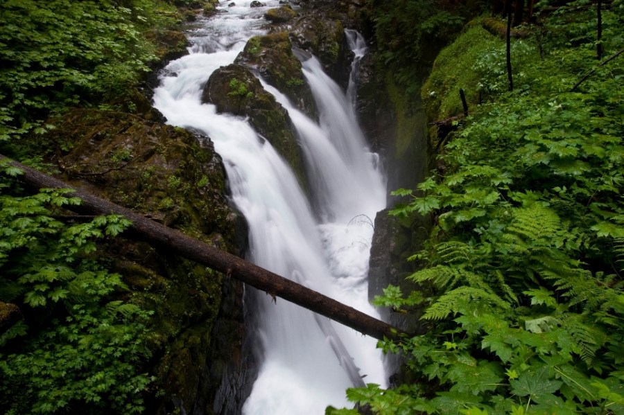 Teen dies after falling over 50-foot waterfall in Washington