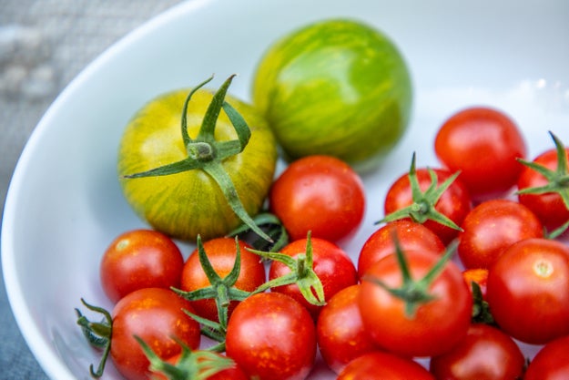 I've Been Growing My Own Food For Years To Save On Grocery Costs. Here ...