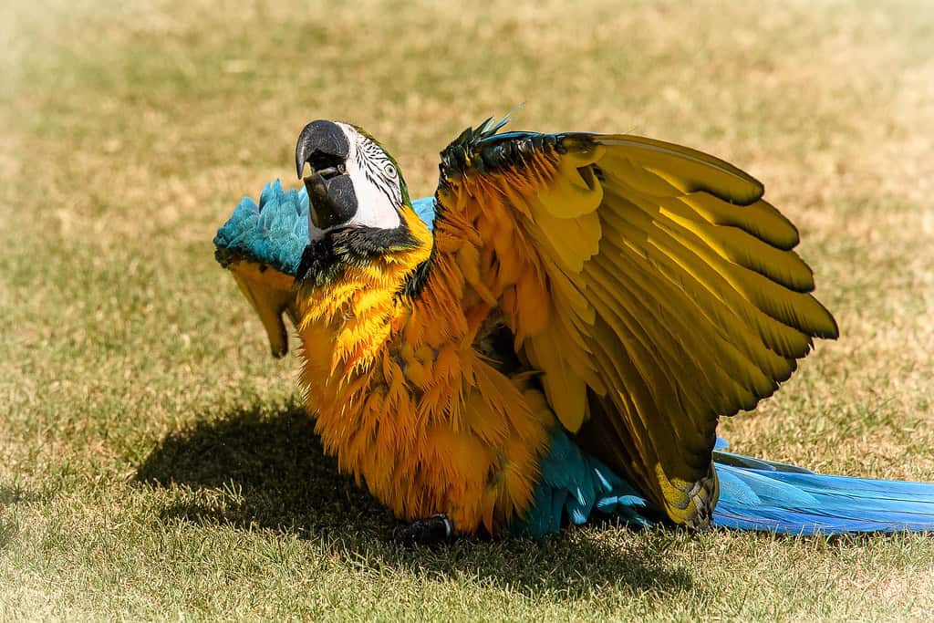 20 Common Dad Phrases That Make You Cringe