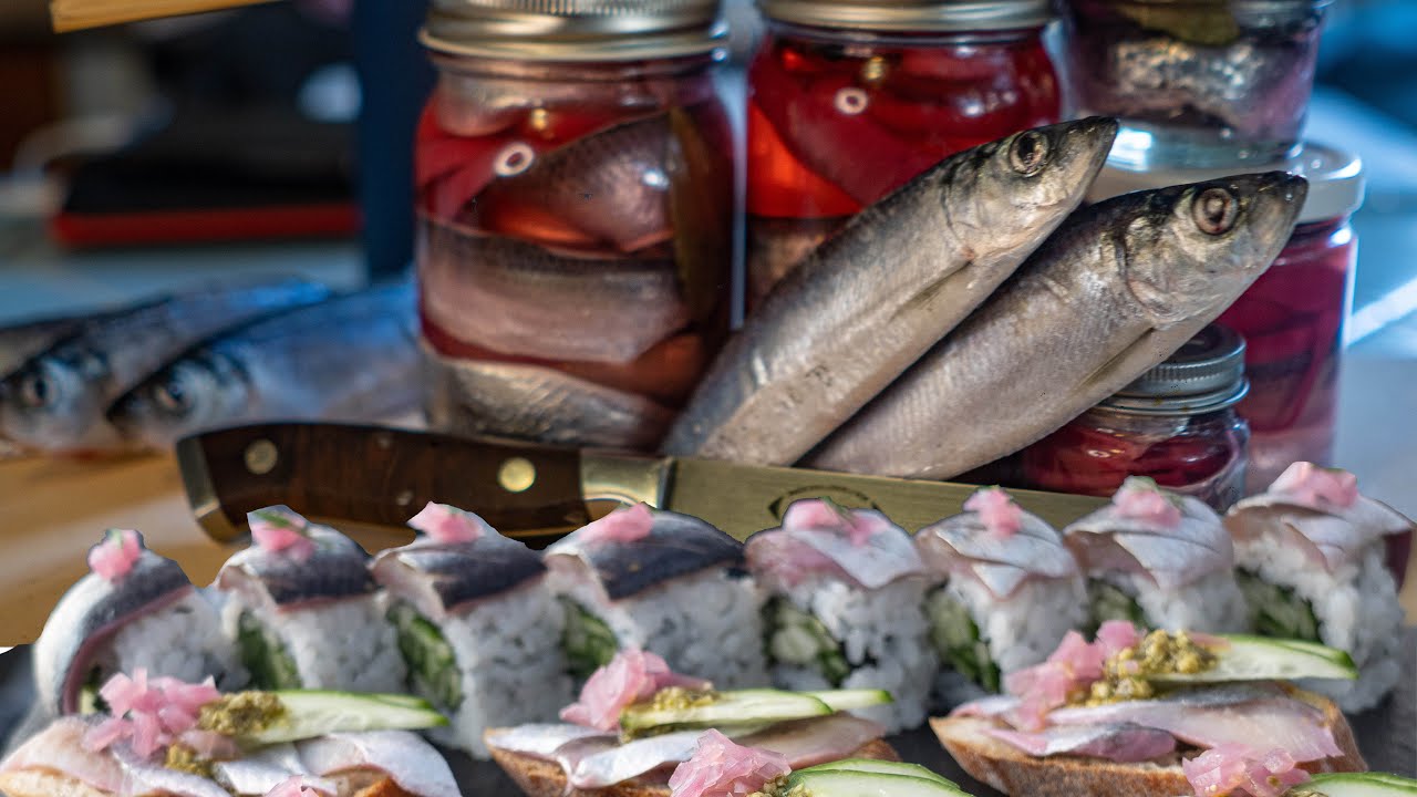 PICKLED HERRING SUSHI | Amazing Catch, Clean, Fillet, and Pickle ...