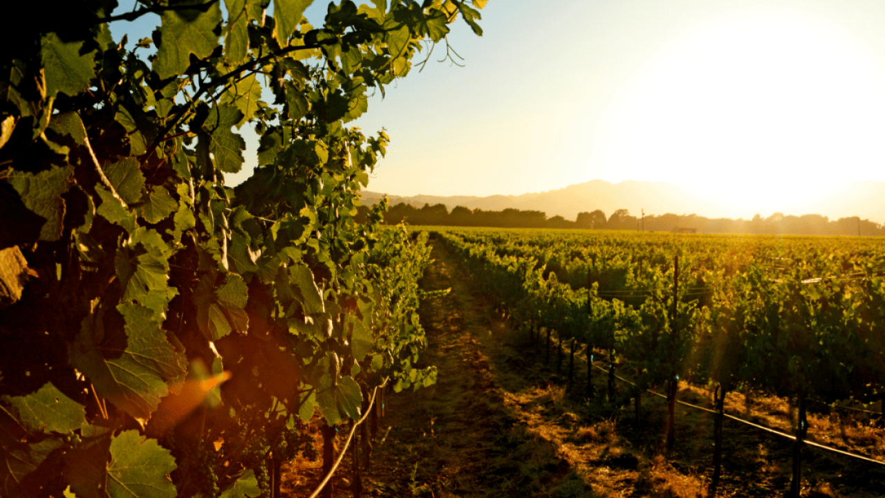 The 3 best wineries that everyone in Pennsylvania should check out this ...