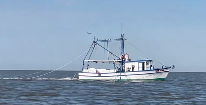 Mississippi shrimp season opening set