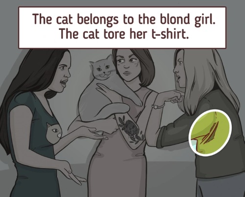 Only the Quickest Minds Can Find the Cat’s Real Owner in 9 Seconds—Can ...