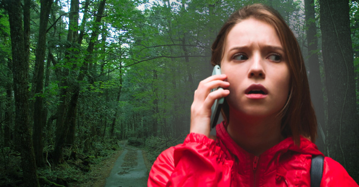 Exploring The World’s Most Haunted Forest