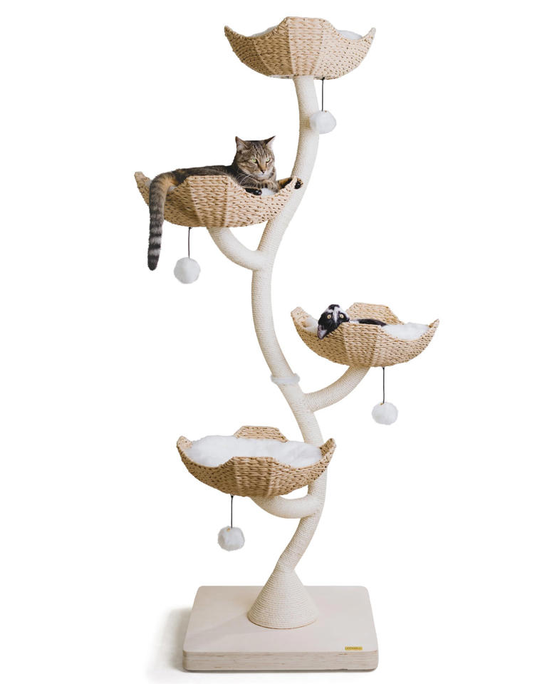 Carrie Bradshaw's Cat Tree Is So Pretty, I'd Buy It—And I Don't Even ...