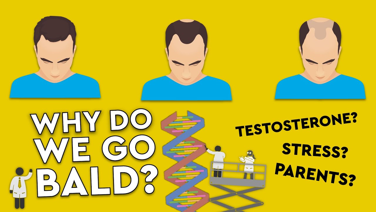 Explore why people go bald and what truly causes lasting hair loss