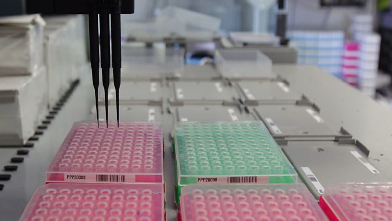 Body exhumed in hopes of solving 54-year-old Illinois mystery