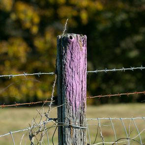 Here’s What the Hole in a Safety Pin Is Really For