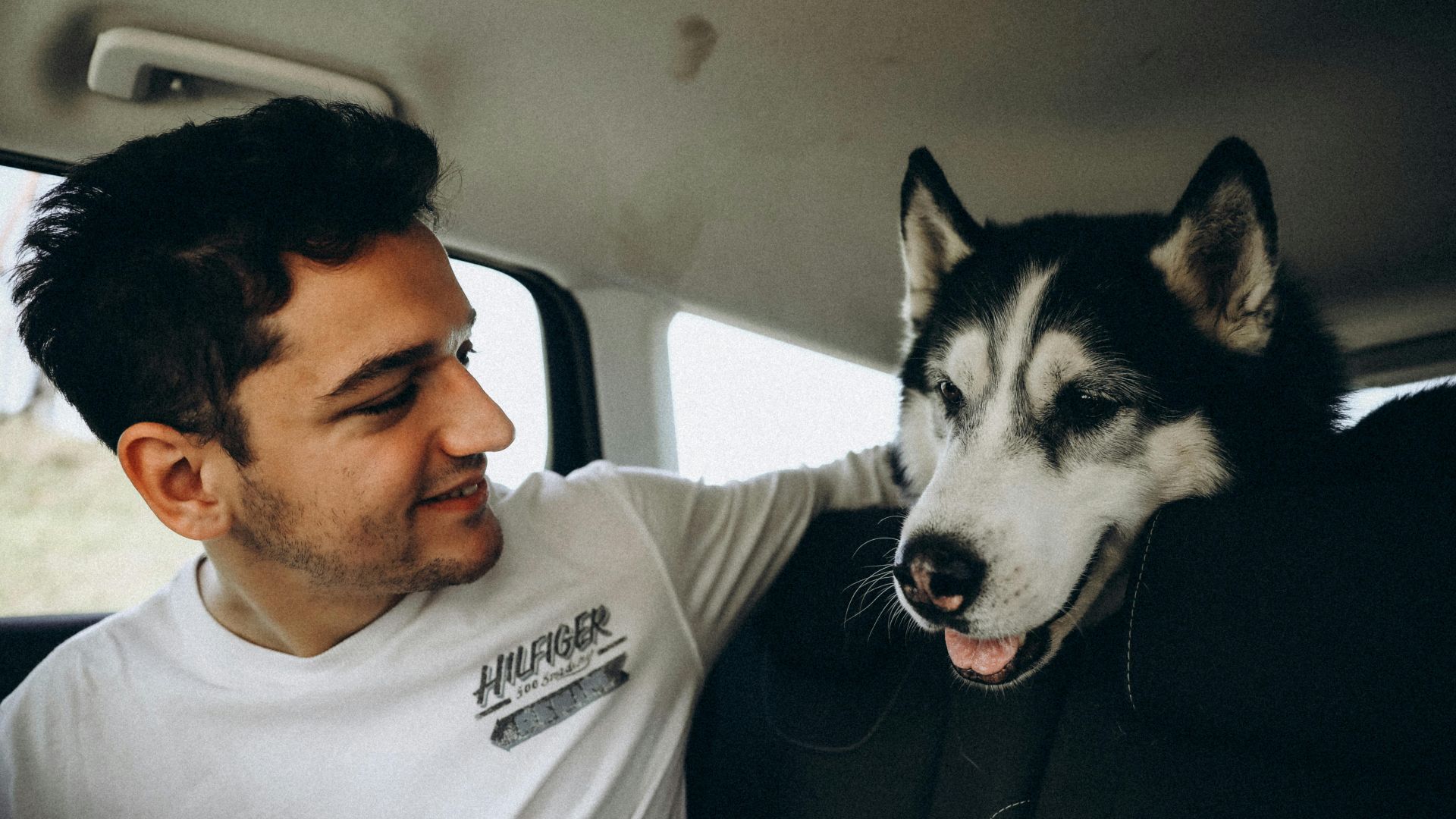 The 20 Best Cars For Dog Owners