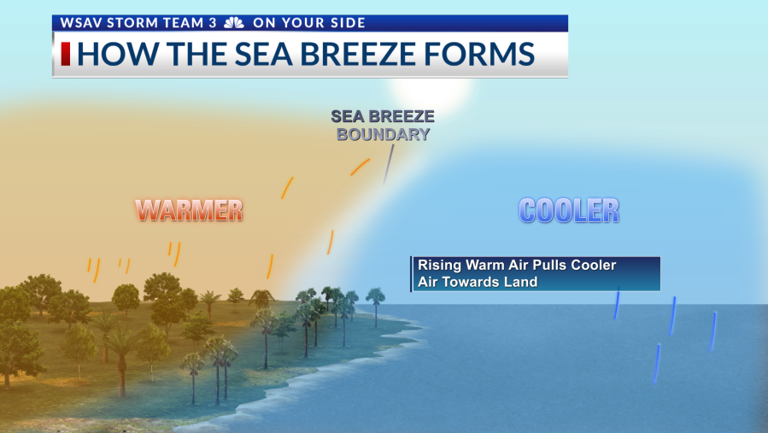 Storm Team 3: What is the Sea Breeze?