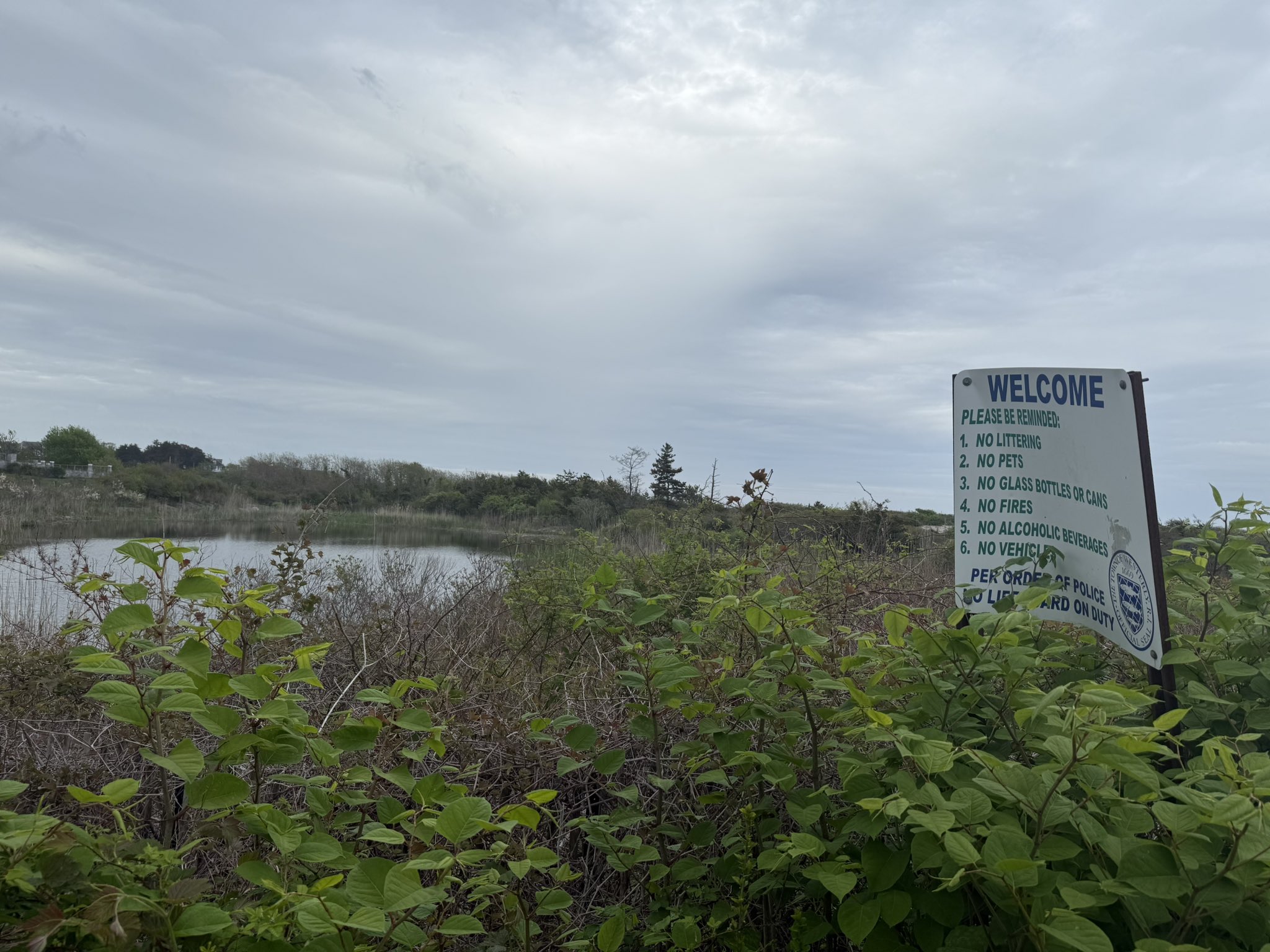 Body that washed ashore in Westerly, RI, identified as Massachusetts man