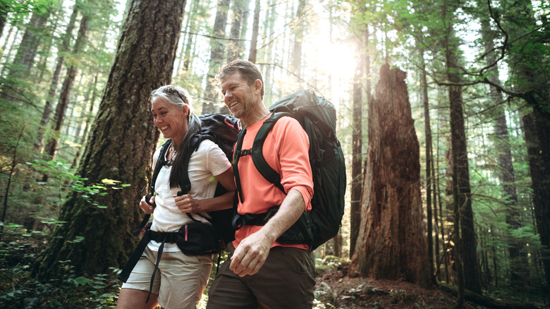 The 12 Best US National Parks For Your Next Backpacking Adventure