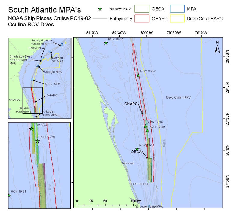 Florida opens rare ivory tree coral reef to shrimp trawling