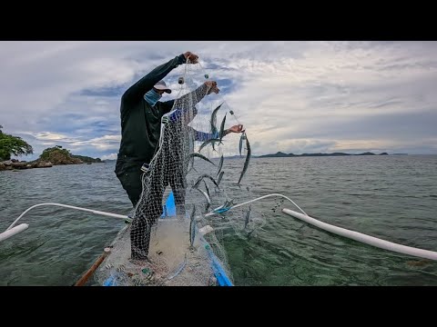 Discover the stunning secret of Boninay 🌊