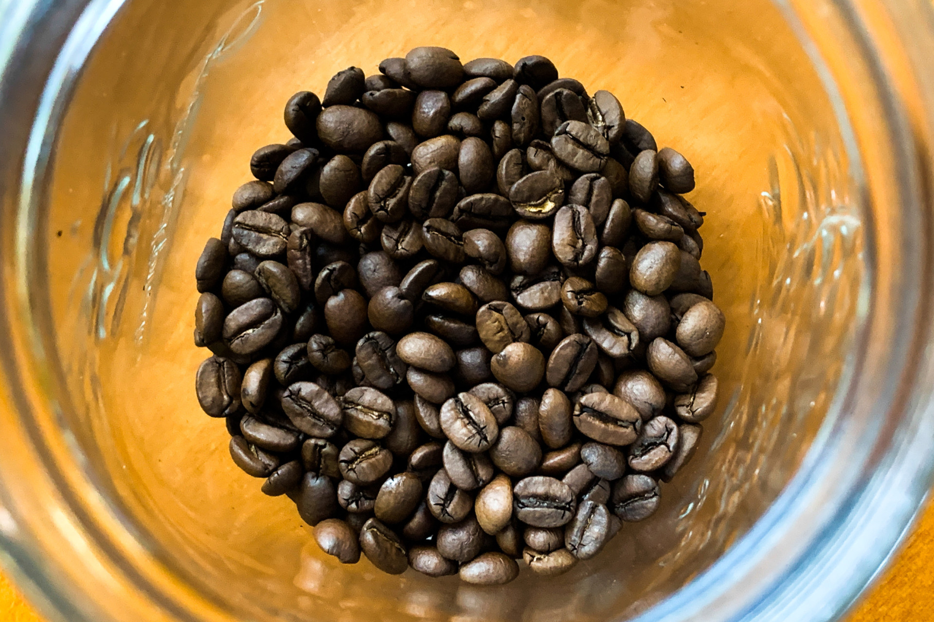 Is it possible to grow your own coffee?