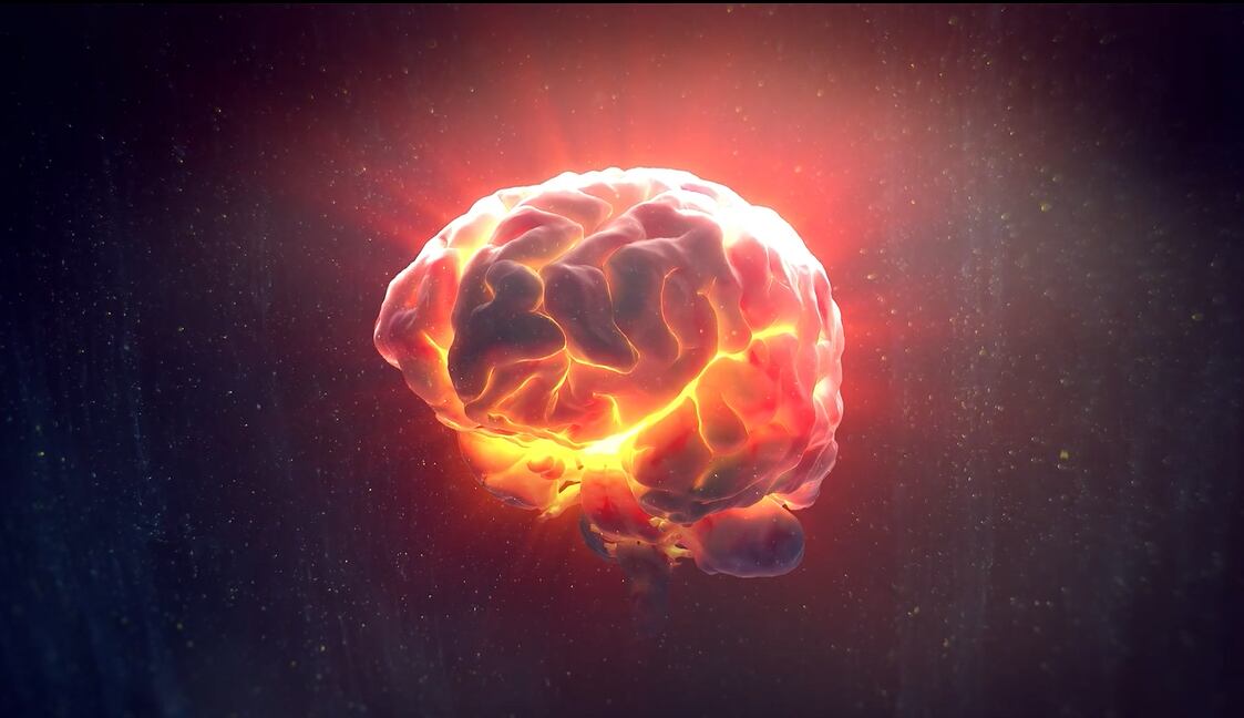 Alzheimer’s Awareness: The Food-Brain Connection