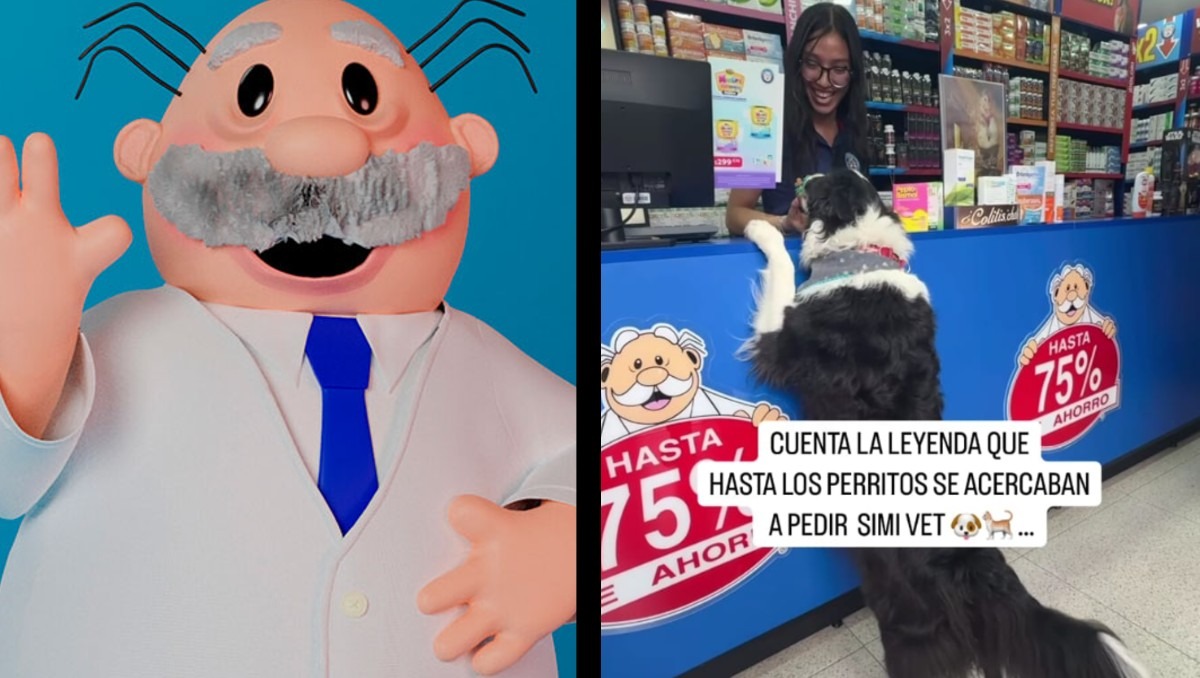 ¿Cuánto cuesta una consulta en el SimiPet Care? Este es el precio de ...