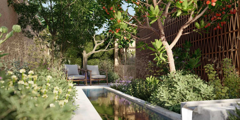 Usos, beneficios y aplicaciones de las plantas labiadas (Lamiáceas ...