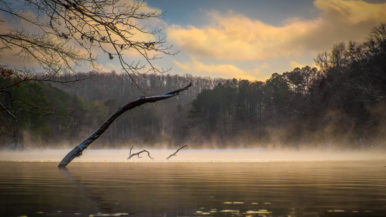 Tennessee's Most Scenic State Park Is A Dreamscape Of Gorges ...