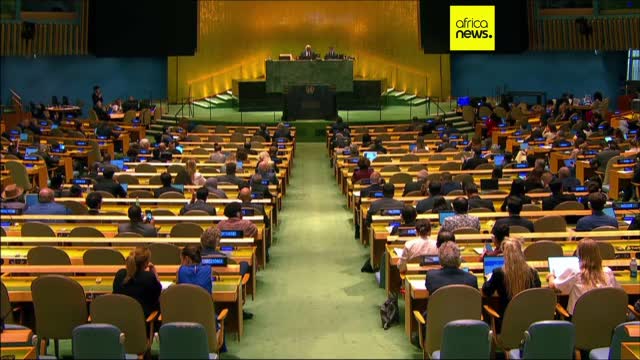 UN General Assembly votes overwhelmingly in favour of immediate ...