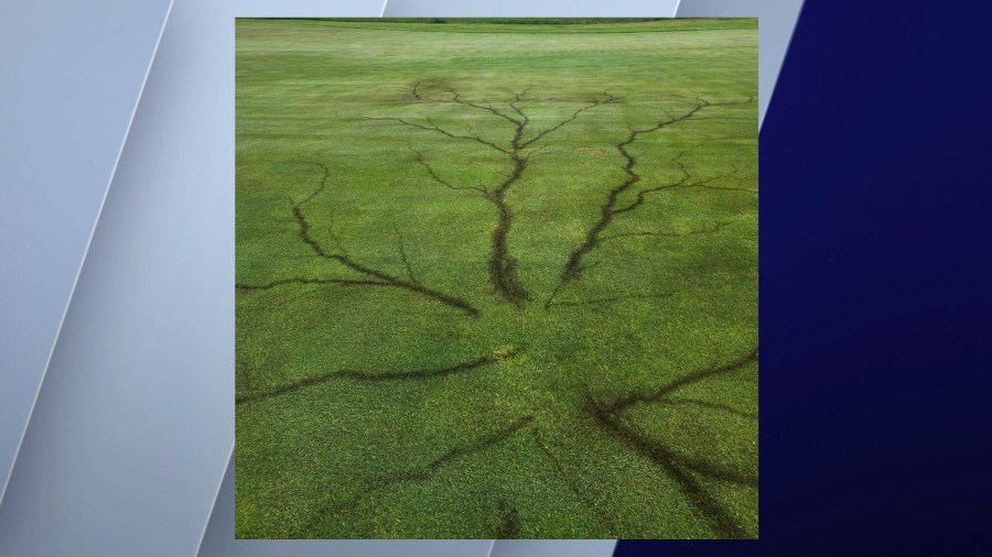 Lightning strike burns Lichtenberg figure into grass on Michigan golf ...