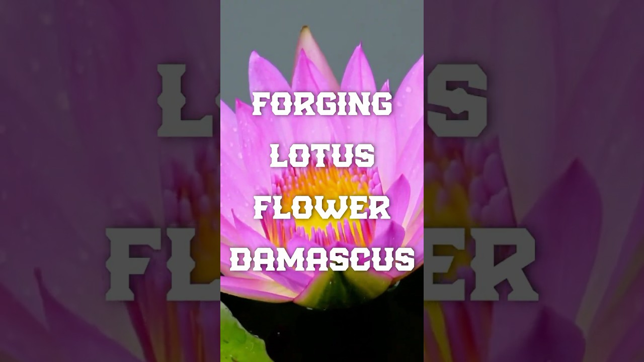 Forging Lotus Flower Damascus. #forging #willstelter #welding #metalwork
