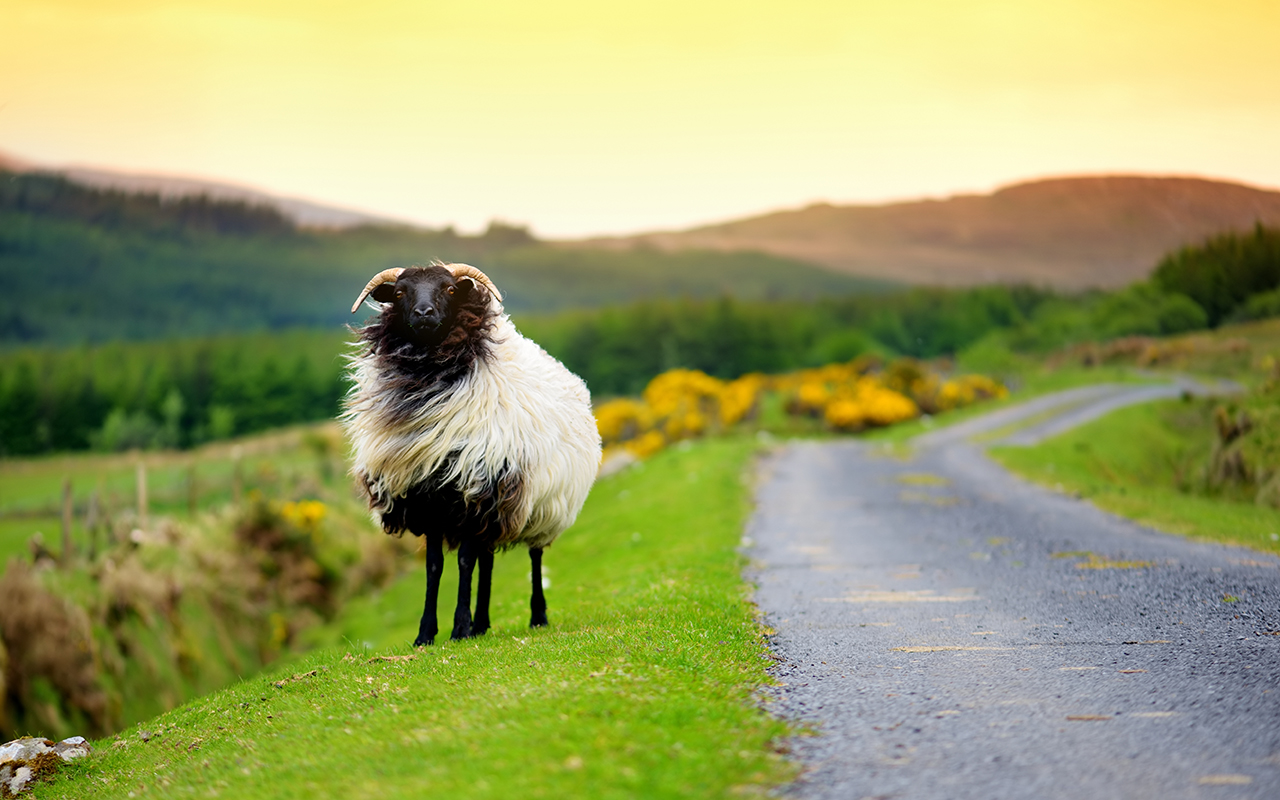 15 Things You Must Do When You Visit Ireland