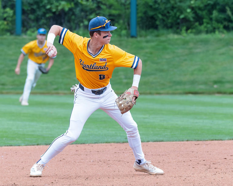 Three Livingston County baseball players make first-team all-state