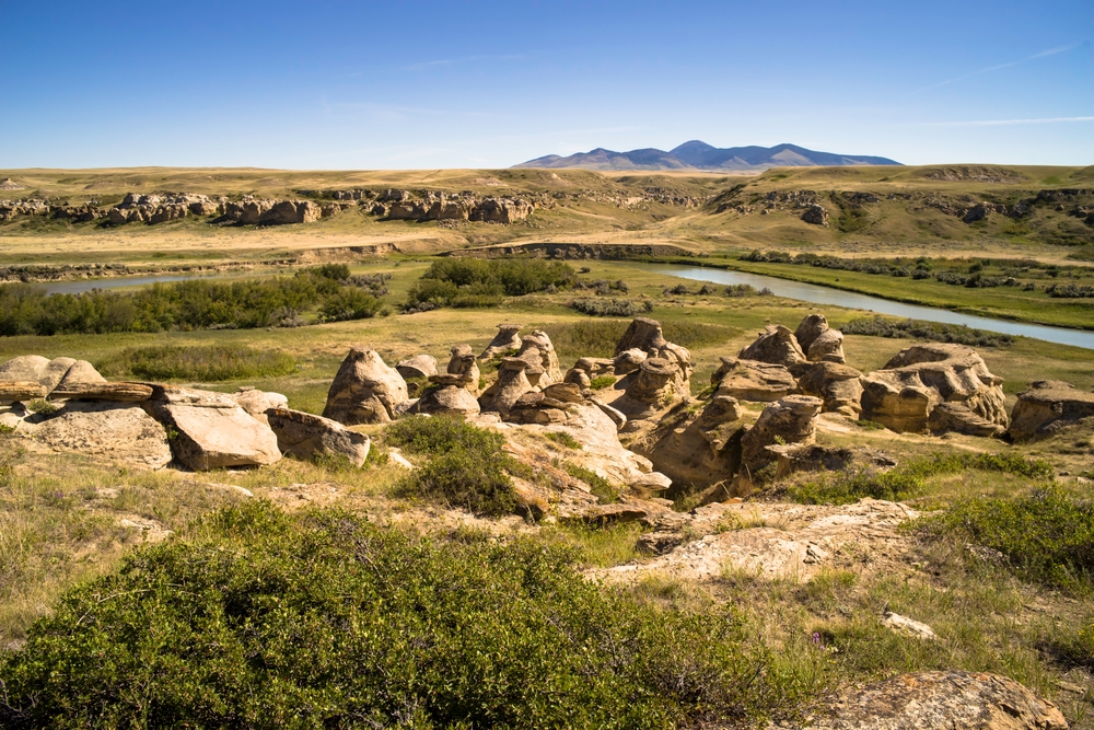 Mysterious Petroglyphs in This Montana Canyon Tell Stories of Warriors ...