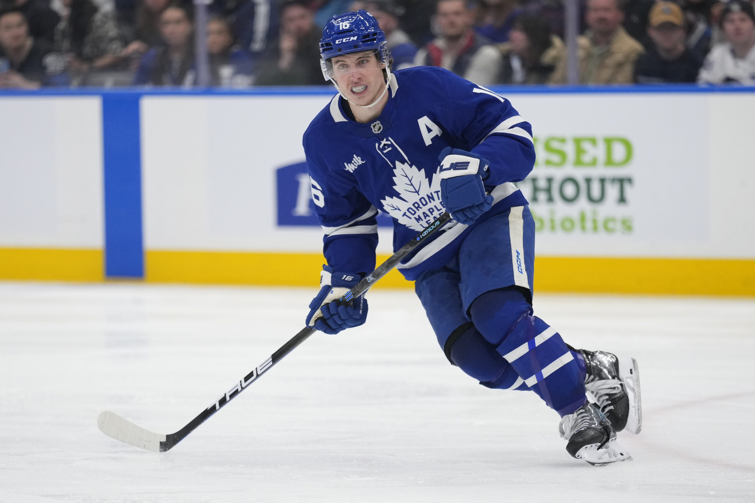 Craig Berube confirms Maple Leafs will not add a new assistant captain ...