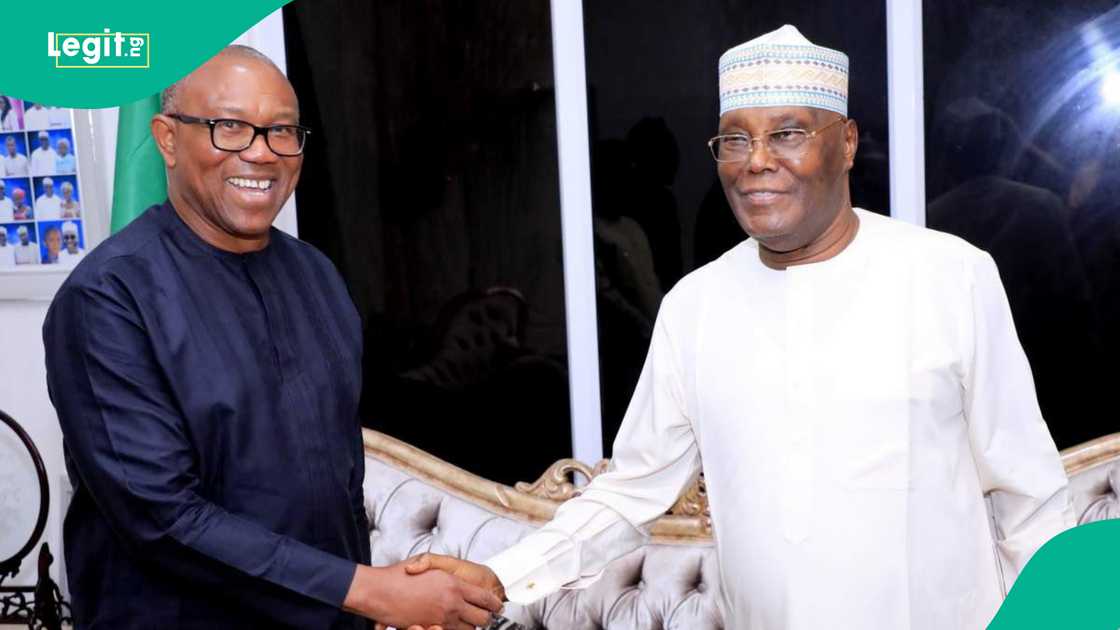 ADC chieftain affirms Peter Obi as presidential choice for 2027, calls ...