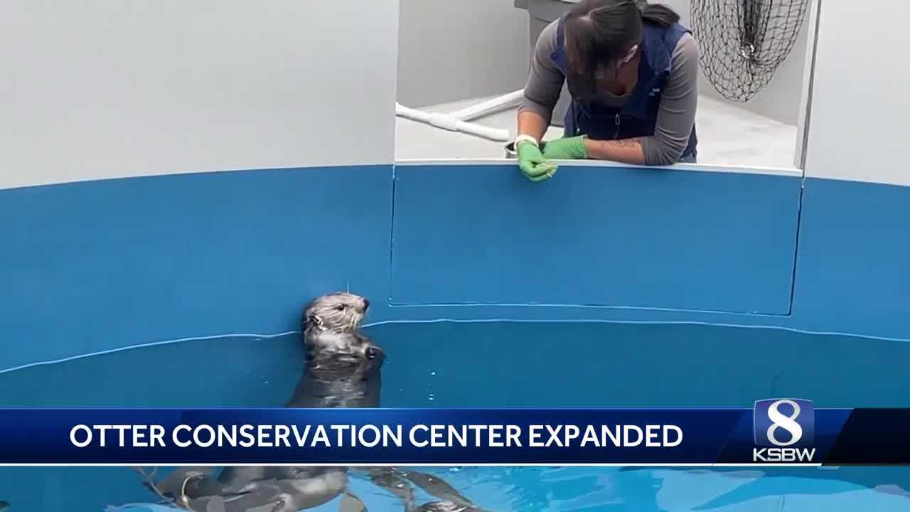 Monterey Bay Aquarium doubles size of otter rehab center