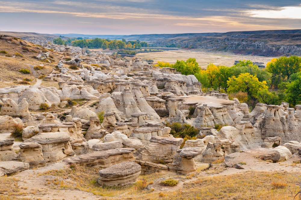Mysterious Petroglyphs in This Montana Canyon Tell Stories of Warriors ...