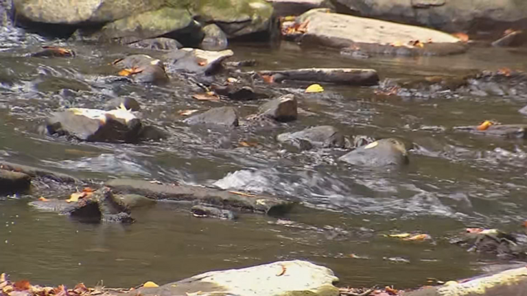 WVDEP programs see volunteers clean tons of litter throughout the state