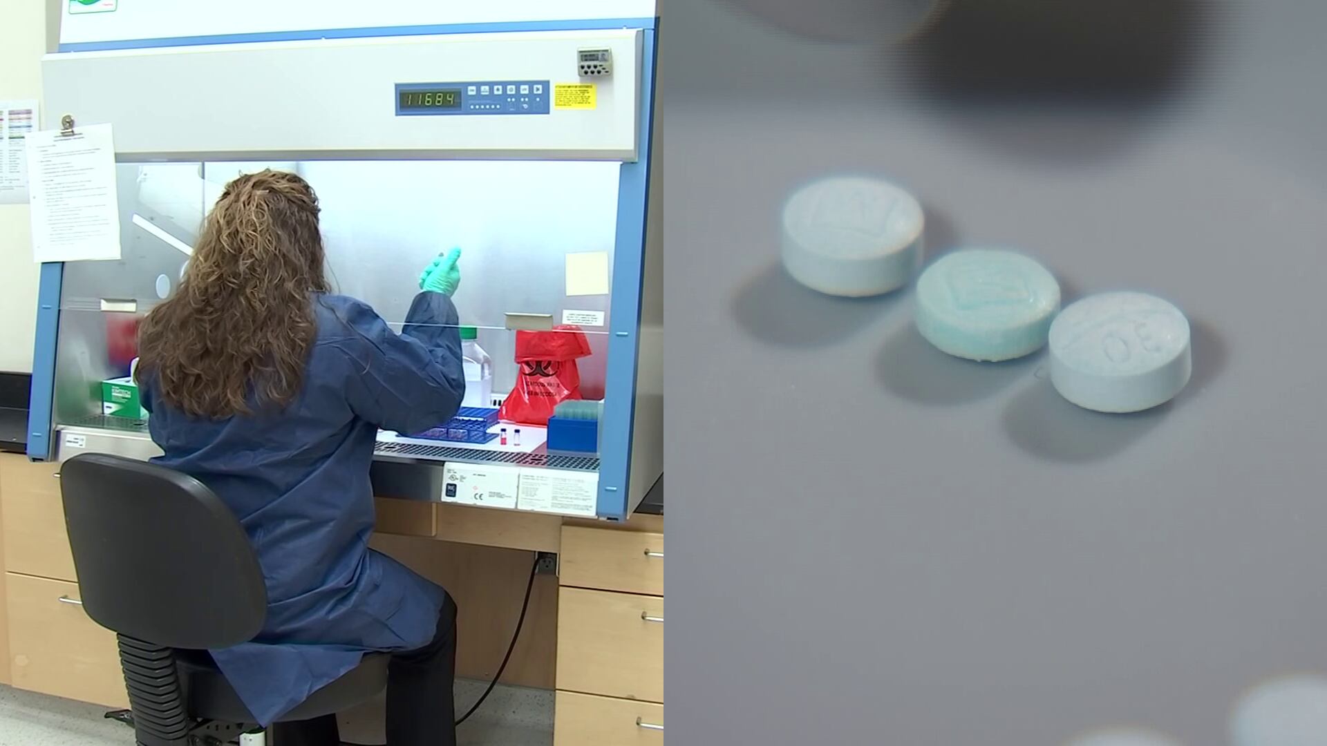 Phoenix PD drug lab sees rise in ‘carfentanil,’ an opioid stronger than ...