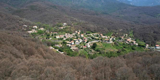 Tribus Apaches protegen el sagrado Oak Flat